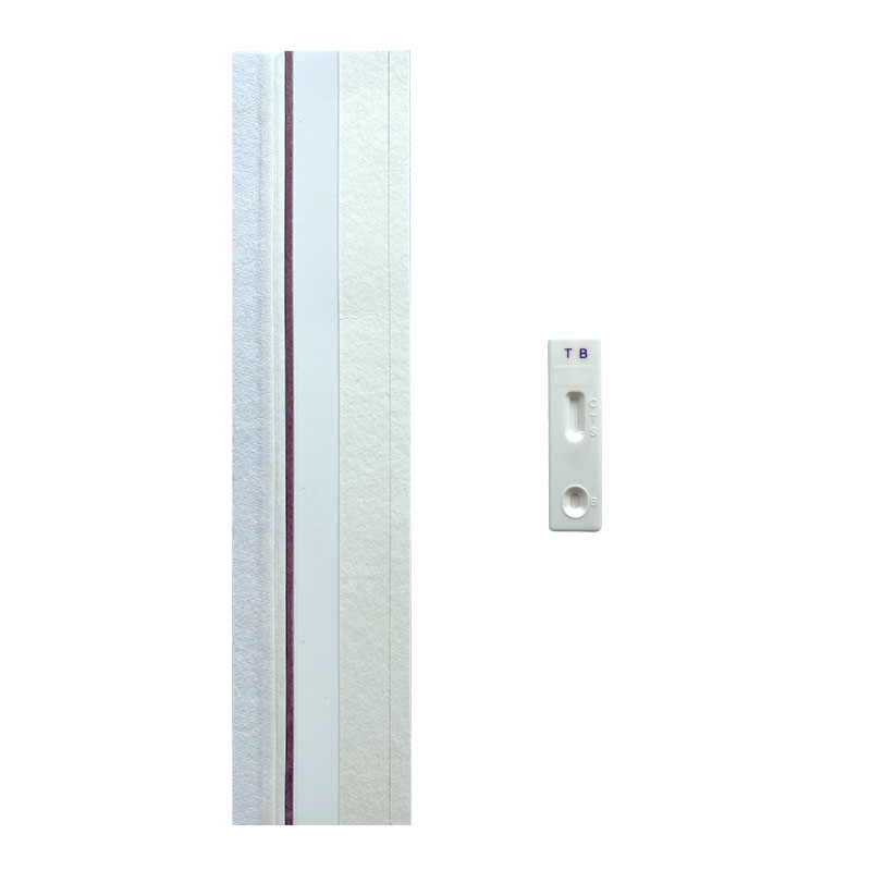 M. Tuberculosis (TB) Antibody Rapid Test Kit Uncut Sheet - NewScen