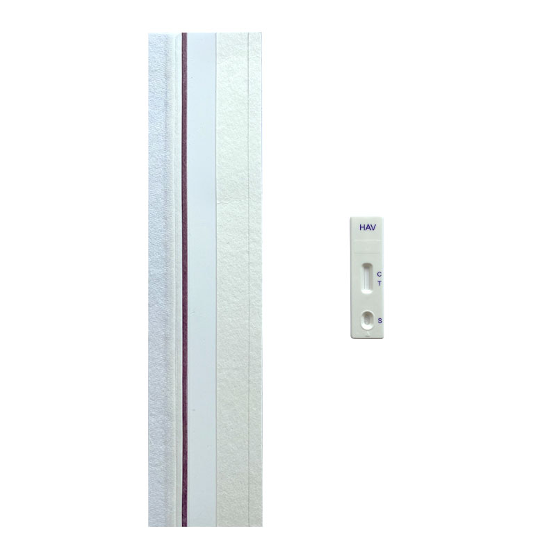 Hepatitis A Antibody (HAV IgM) Test Kit Uncut Sheet - NewScen