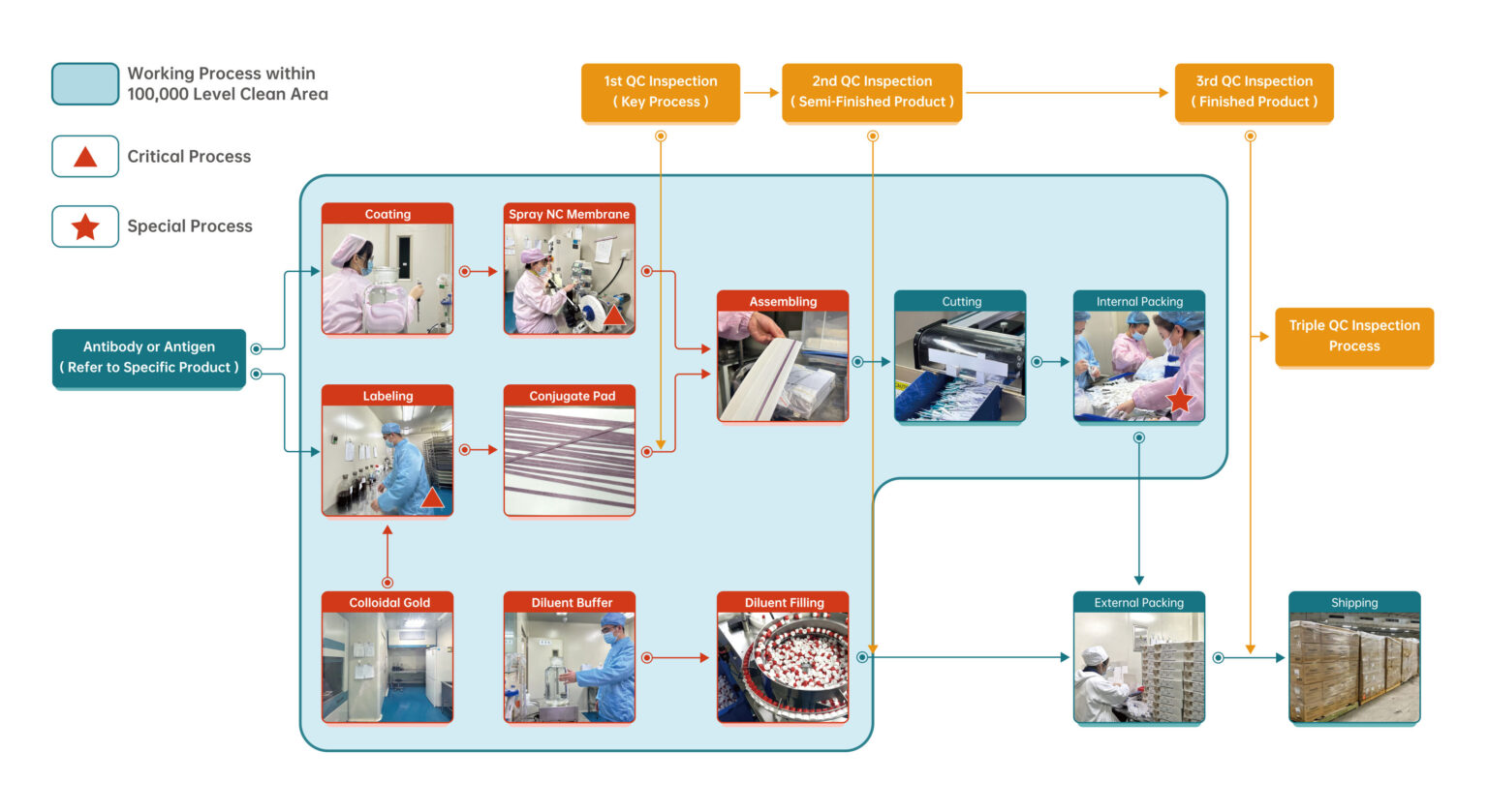 Start From Uncut Sheet - NewScen