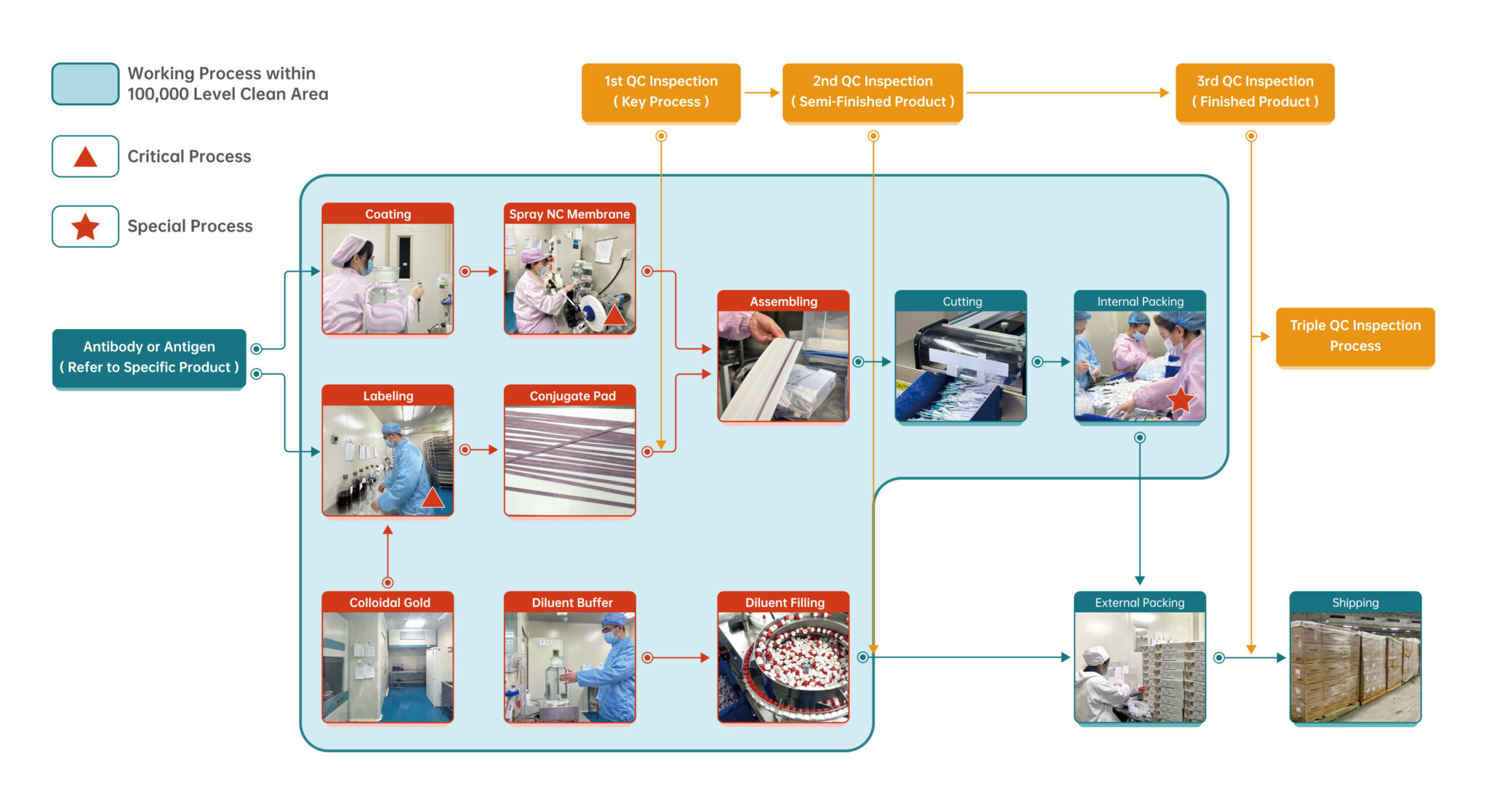 Start From Uncut Sheet - NewScen