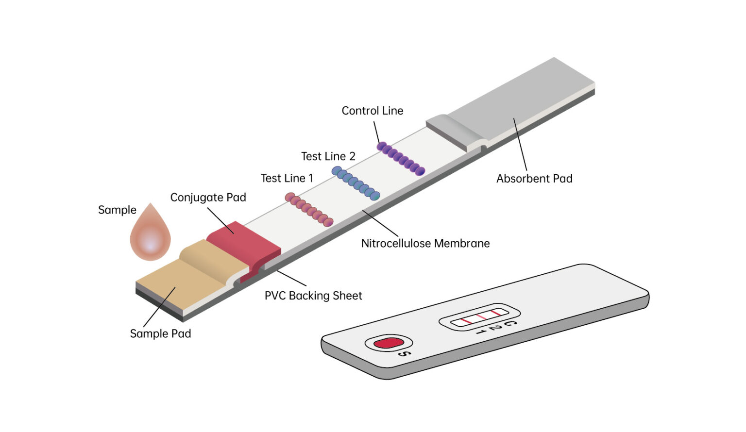Malaria Pf/Pan Antigen Rapid Test Kit Uncut Sheet - NewScen